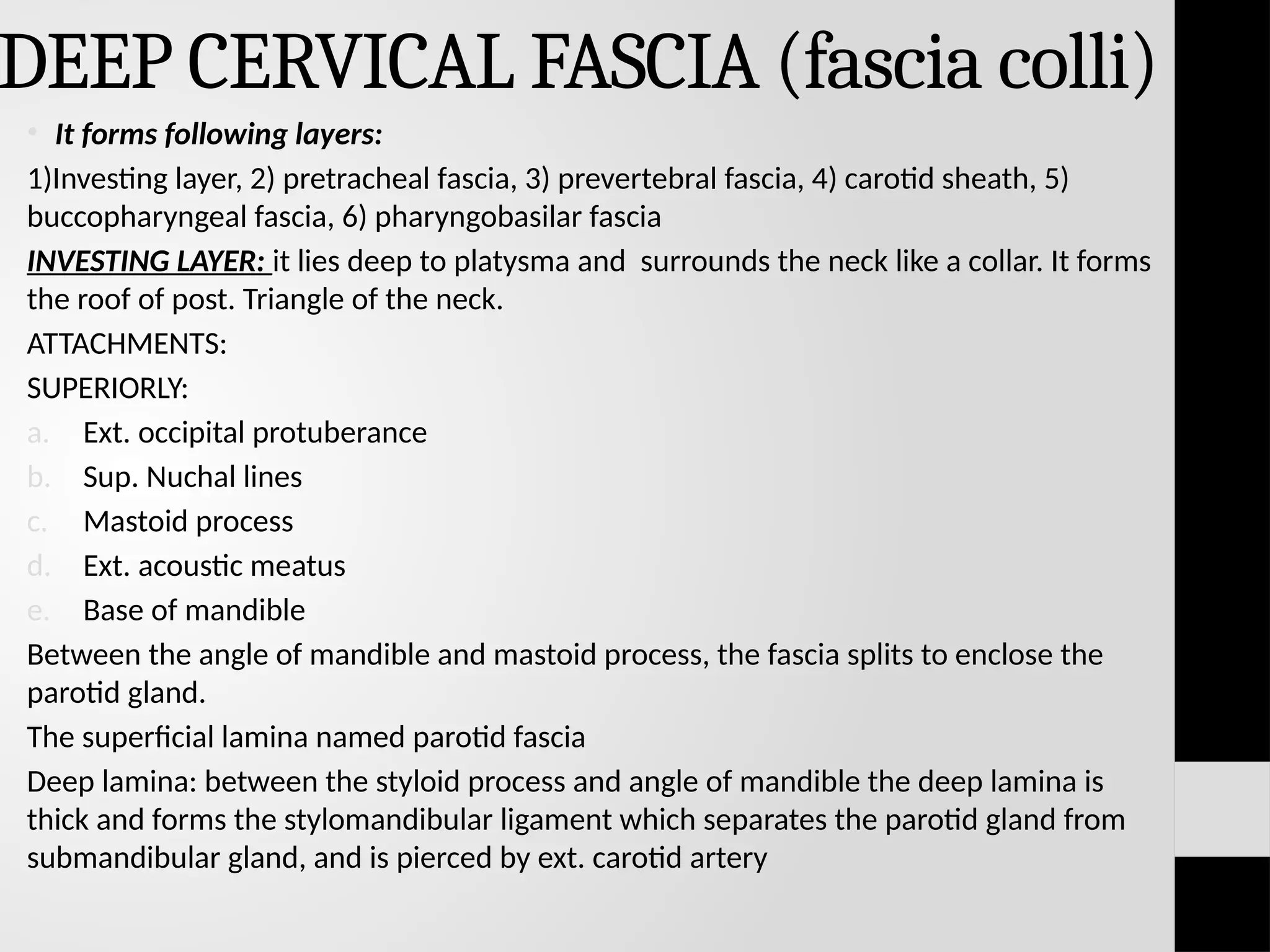 FASCIAE OF human neck gross anatomy mbbs | PPTX