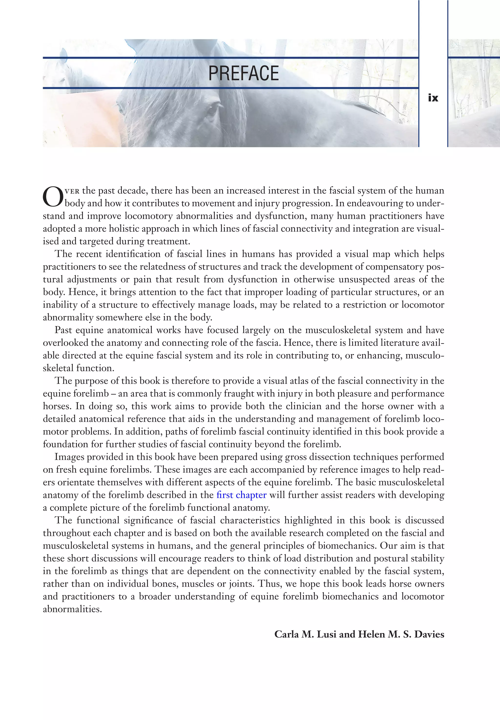 Fascial anatomy-of-the-equine-forelimb | PDF