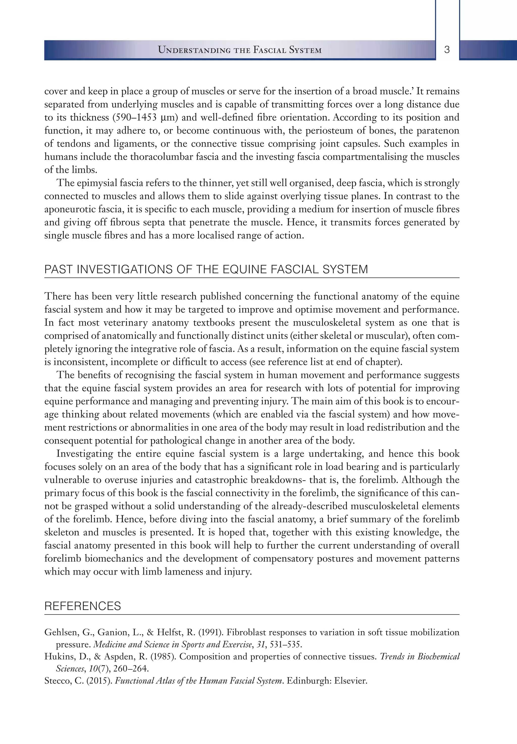 Fascial anatomy-of-the-equine-forelimb | PDF