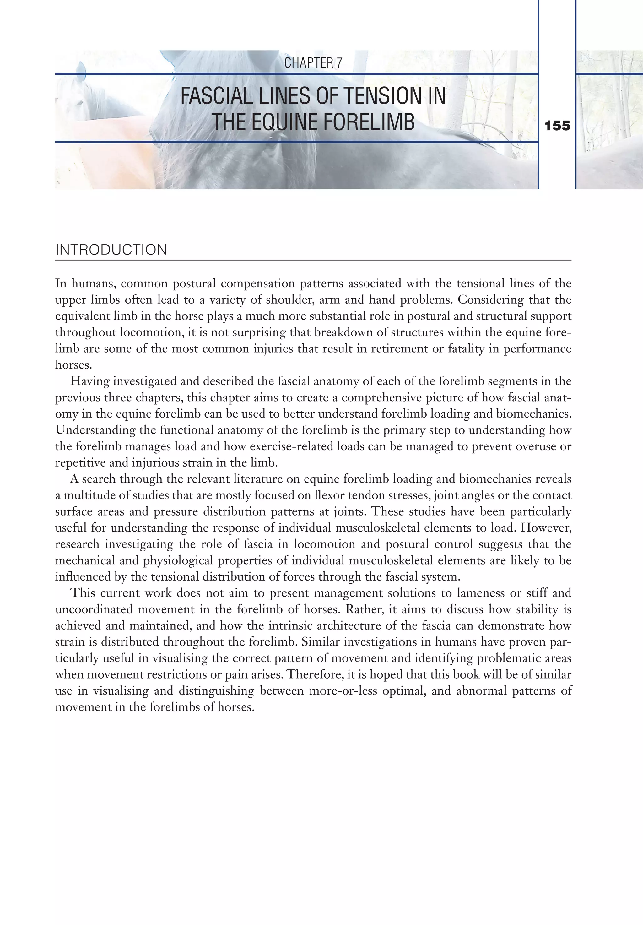 Fascial anatomy-of-the-equine-forelimb | PDF