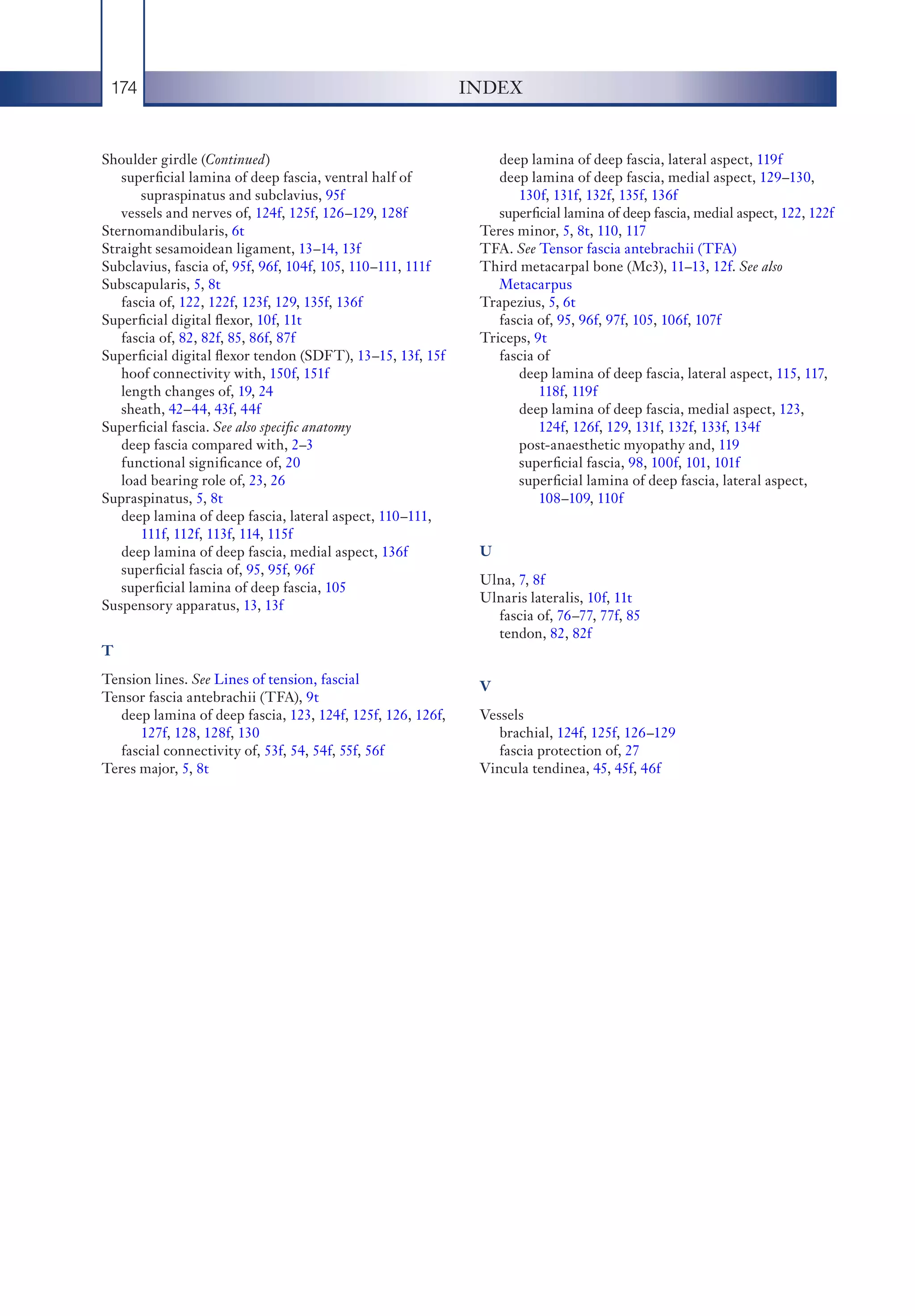 Fascial anatomy-of-the-equine-forelimb | PDF