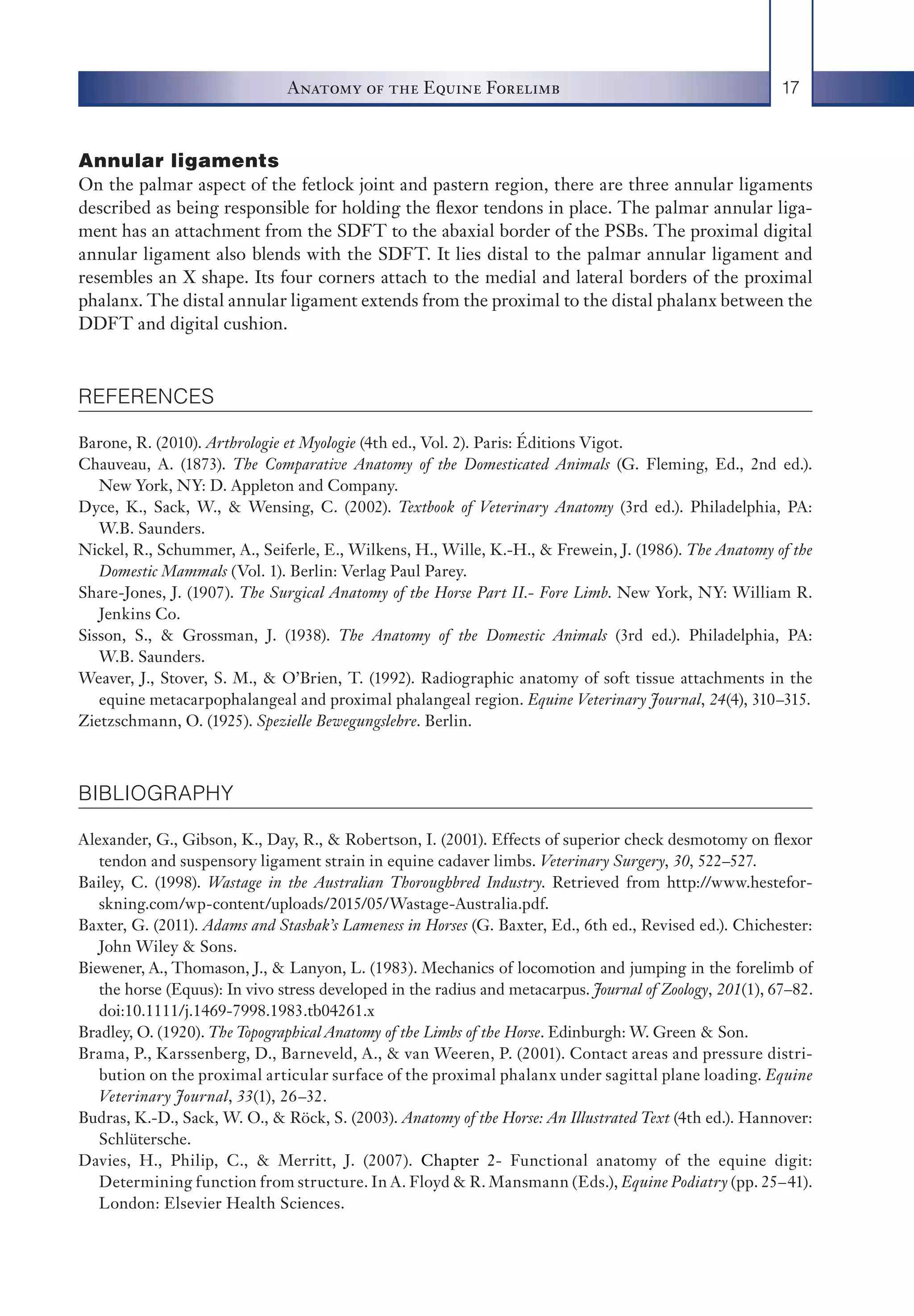 Fascial anatomy-of-the-equine-forelimb | PDF