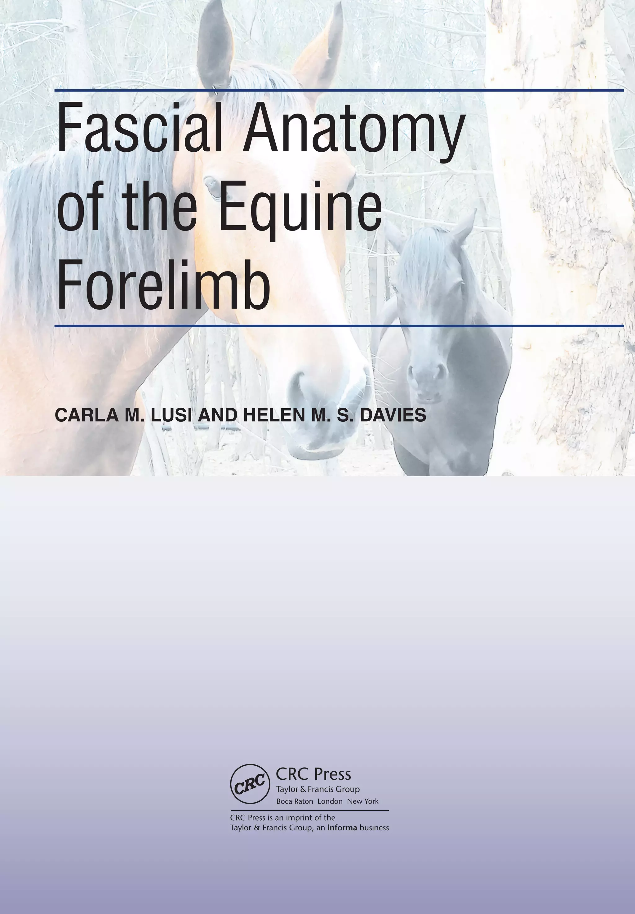 Fascial anatomy-of-the-equine-forelimb | PDF