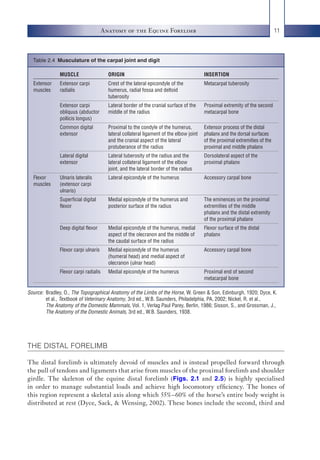 Fascial anatomy-of-the-equine-forelimb | PDF