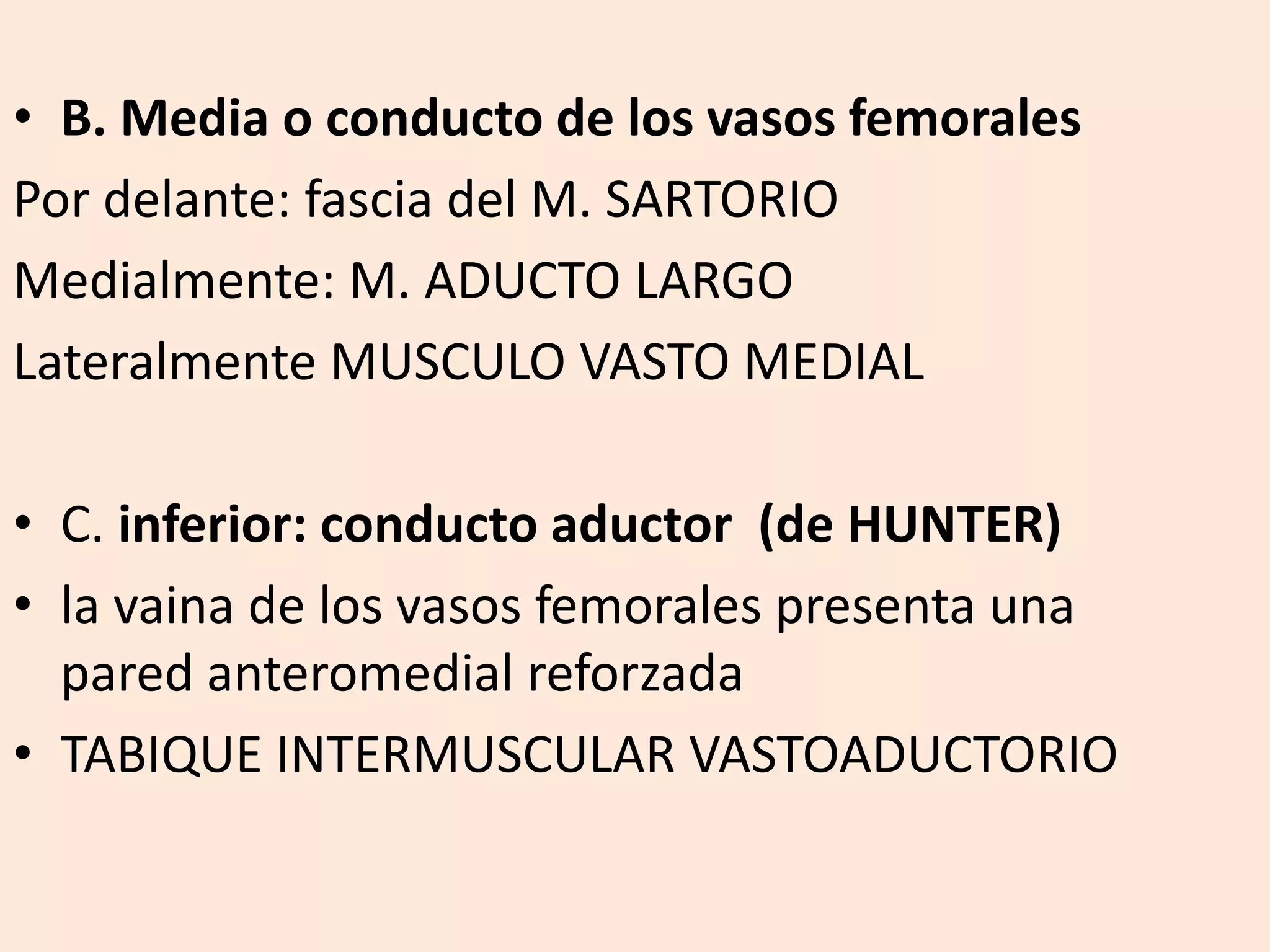 Fascia lata | PPTX