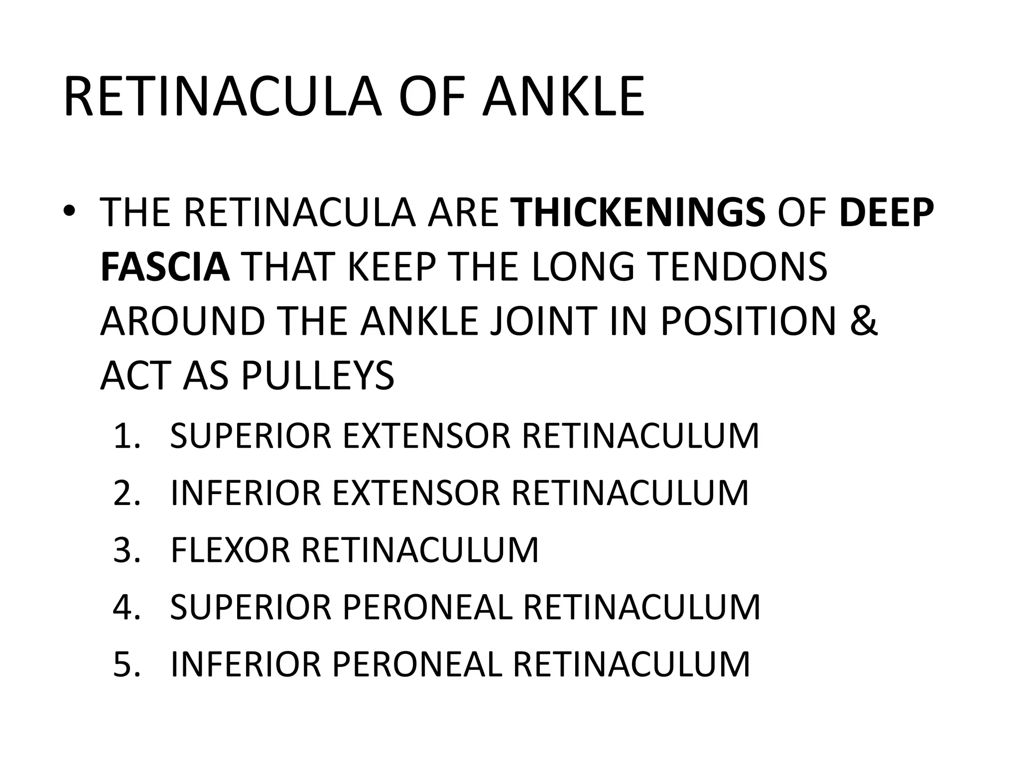 FASCIAL COMPARTMENTS OF THE LEG presentation | PPTX