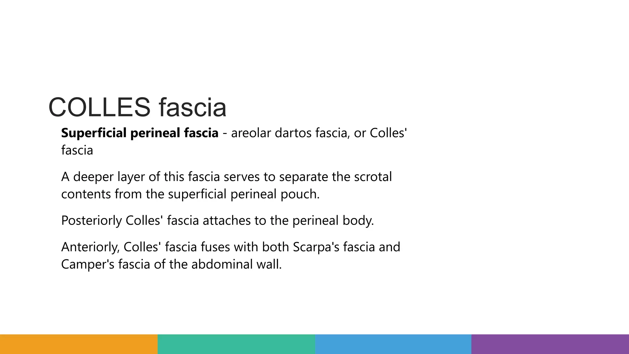 Fascial coverings of penis and scrotum | PPTX