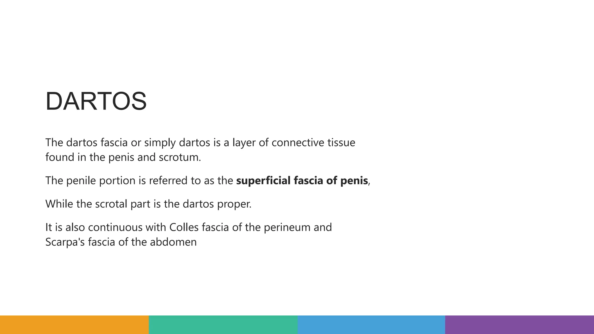 Fascial coverings of penis and scrotum | PPTX