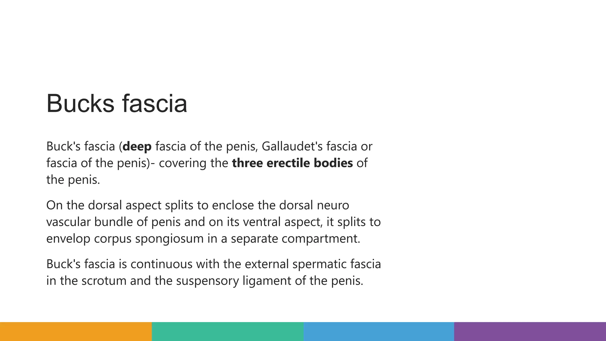 Fascial coverings of penis and scrotum | PPTX