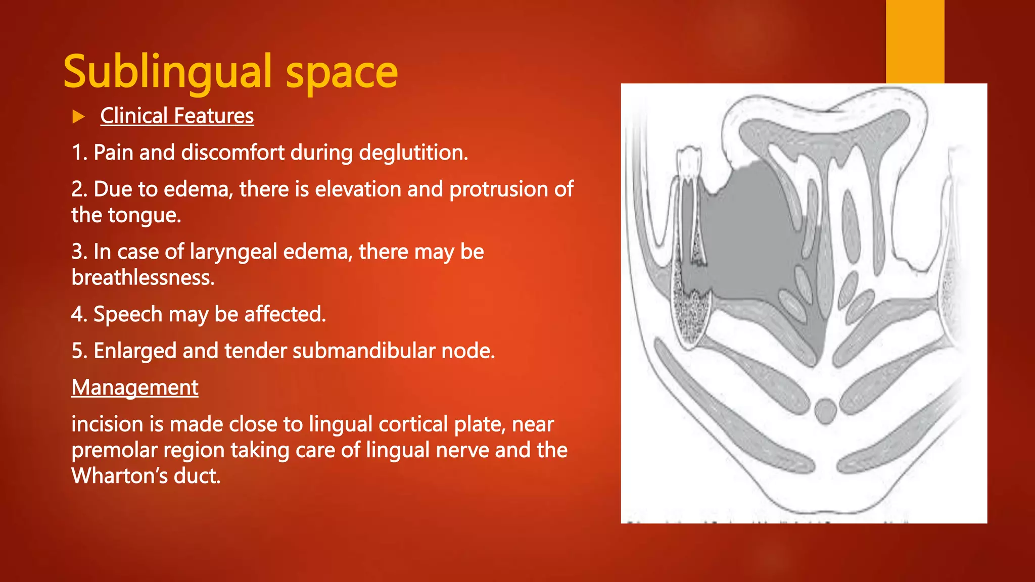 fascial space.pptx