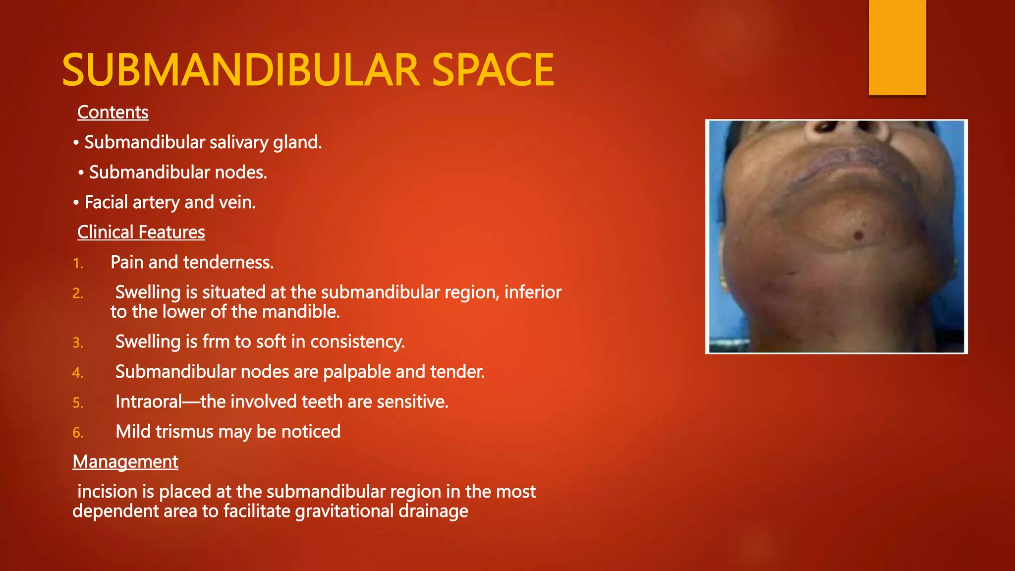 fascial space.pptx