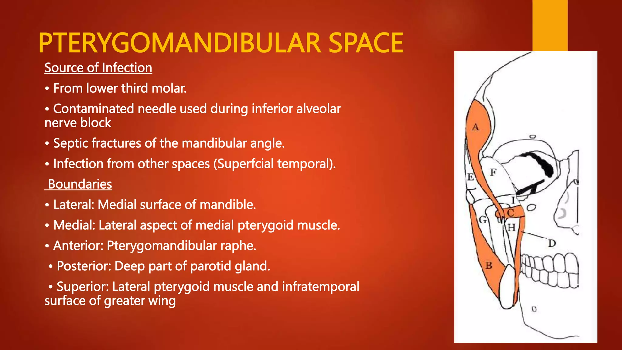 fascial space.pptx
