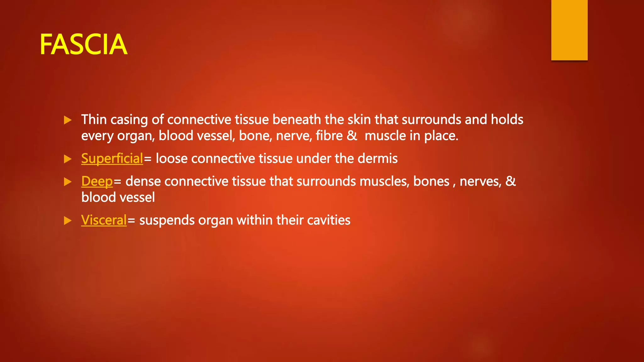fascial space.pptx