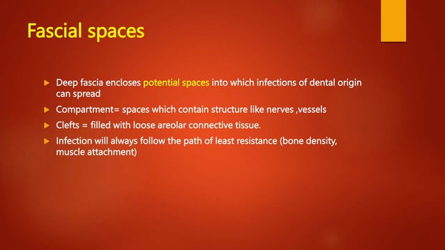 fascial space.pptx