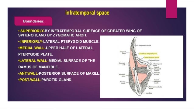 Fascial space infection