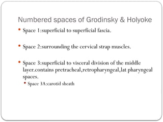 Fascial Space Infection and its Management in Oral Surgery | PPTX