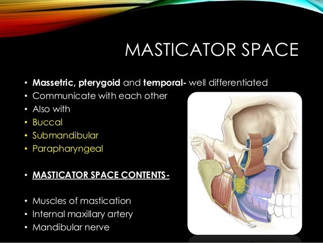 Fascial Space Infection part 2