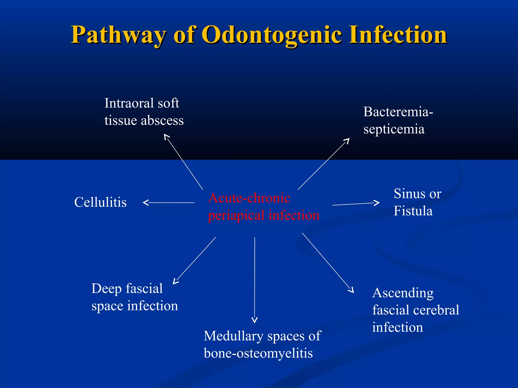 Fascial space & infections | PPT