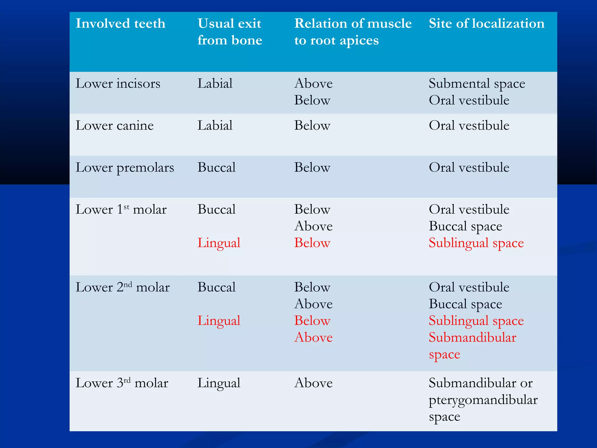 Fascial space & infections | PPT