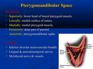 Pterygomandibular Fold