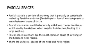 Fascial spaces | PPTX
