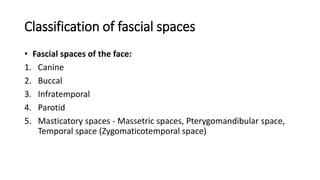 Fascial spaces | PPTX
