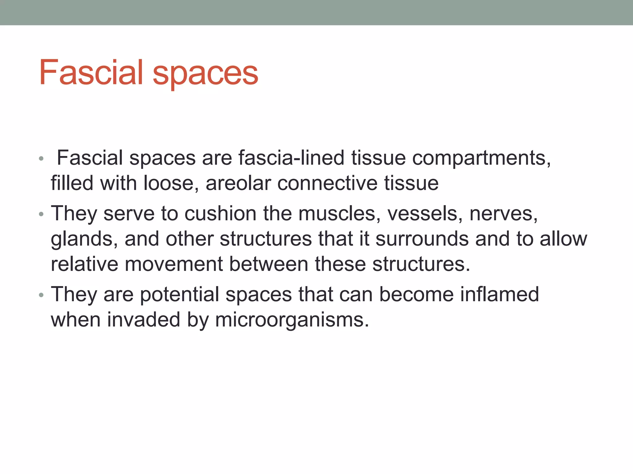 Fascial spaces.pptx | Ear, Nose and Throat Conditions | Diseases and ...