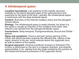 Fascial spaces.pptx | Ear, Nose and Throat Conditions | Diseases and ...