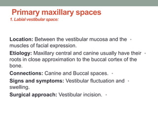 Fascial spaces.pptx | Ear, Nose and Throat Conditions | Diseases and ...