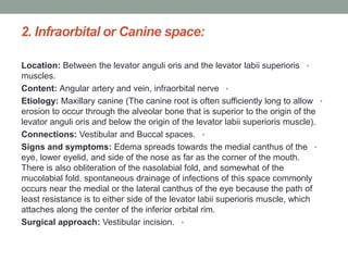 Fascial spaces.pptx | Ear, Nose and Throat Conditions | Diseases and ...