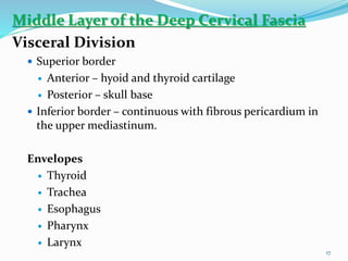 FASCIAL SPACES.pptx