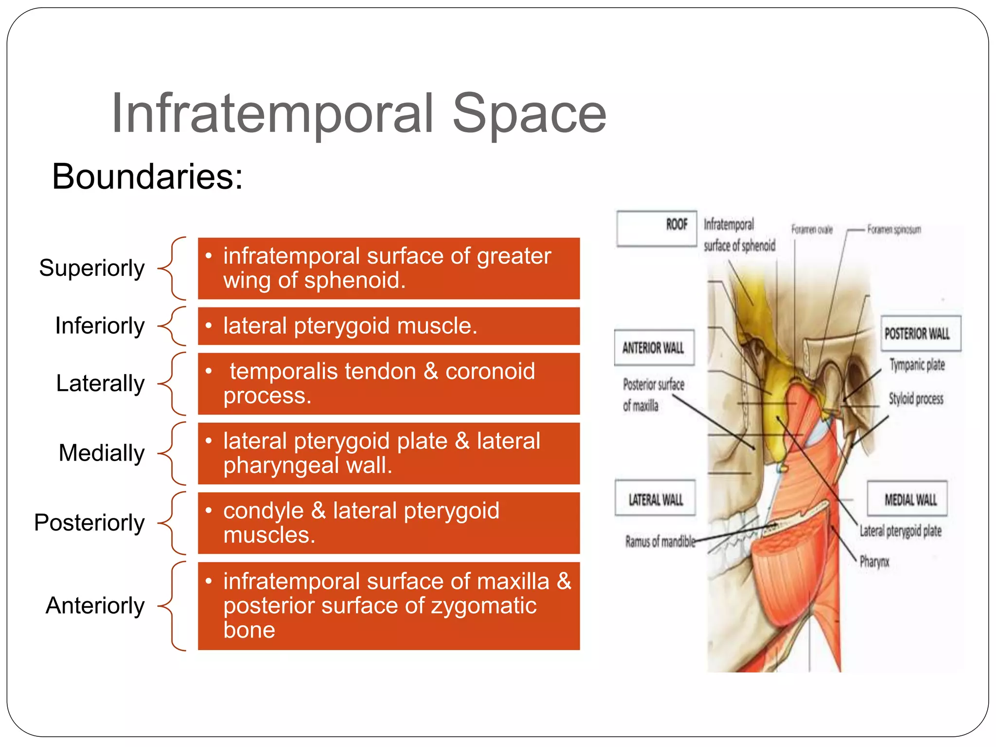 Fascial spaces of jaws and management | PPTX