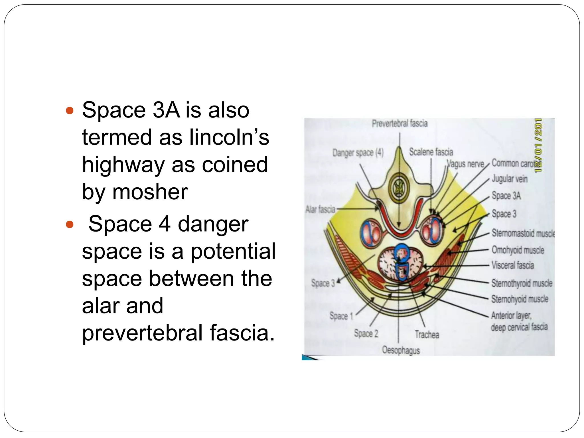 Fascial spaces of jaws and management | PPTX