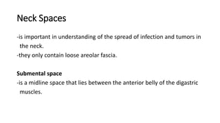 Fascial Spaces of Neck(2).pptx