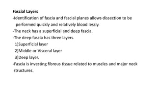 Fascial Spaces of Neck(2).pptx