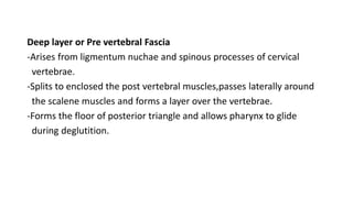 Fascial Spaces of Neck(2).pptx