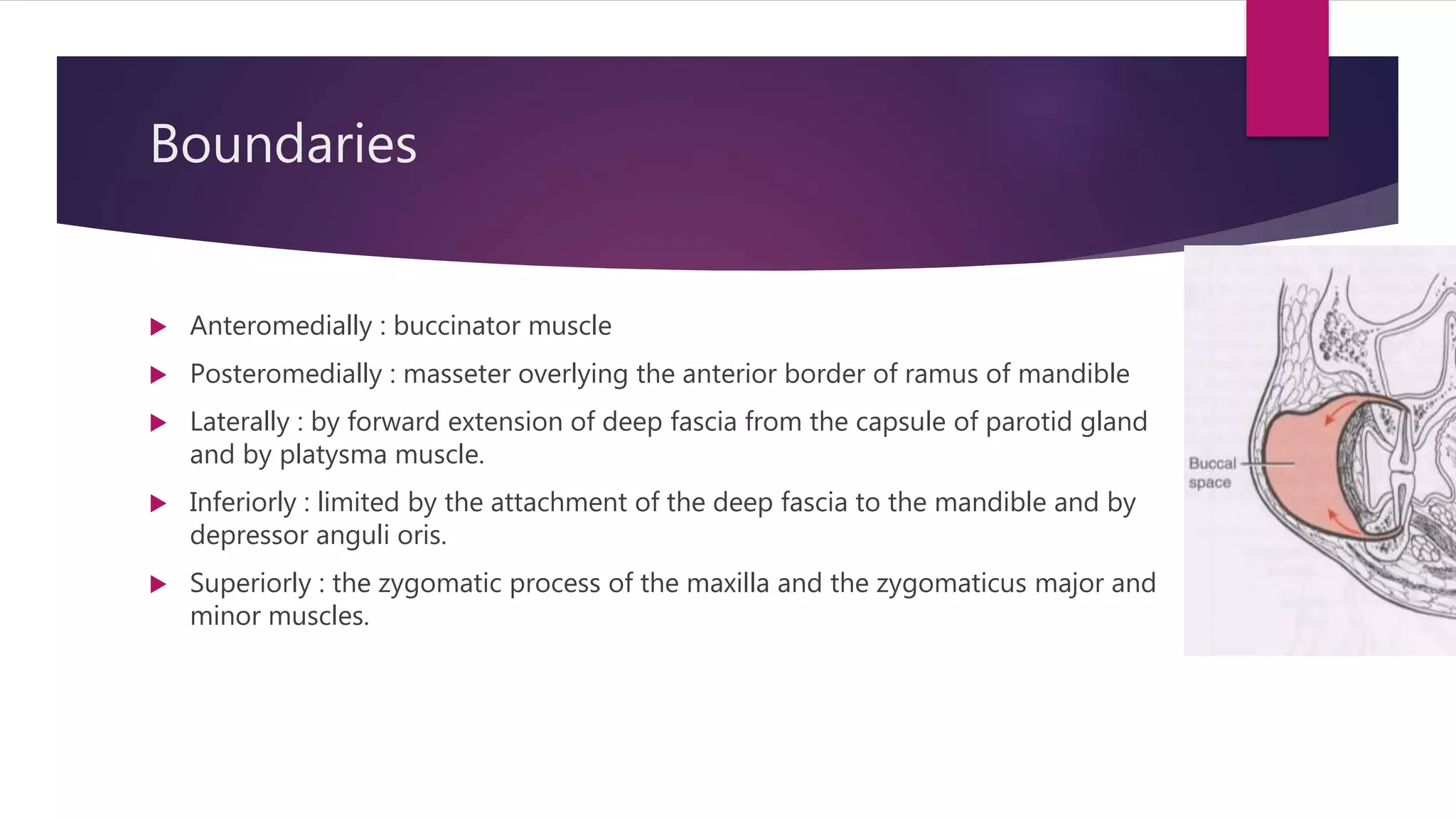 Fascial spaces of the jaws and its management | PPTX
