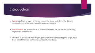 Fascial spaces of the jaws and its management | PPTX