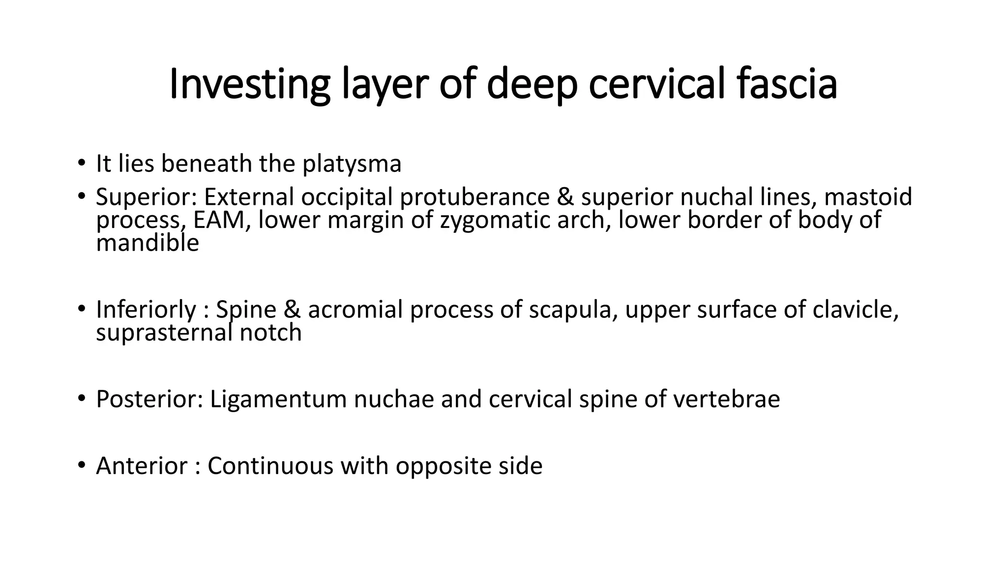 Fascial Spaces in the Head & Neck | PPTX