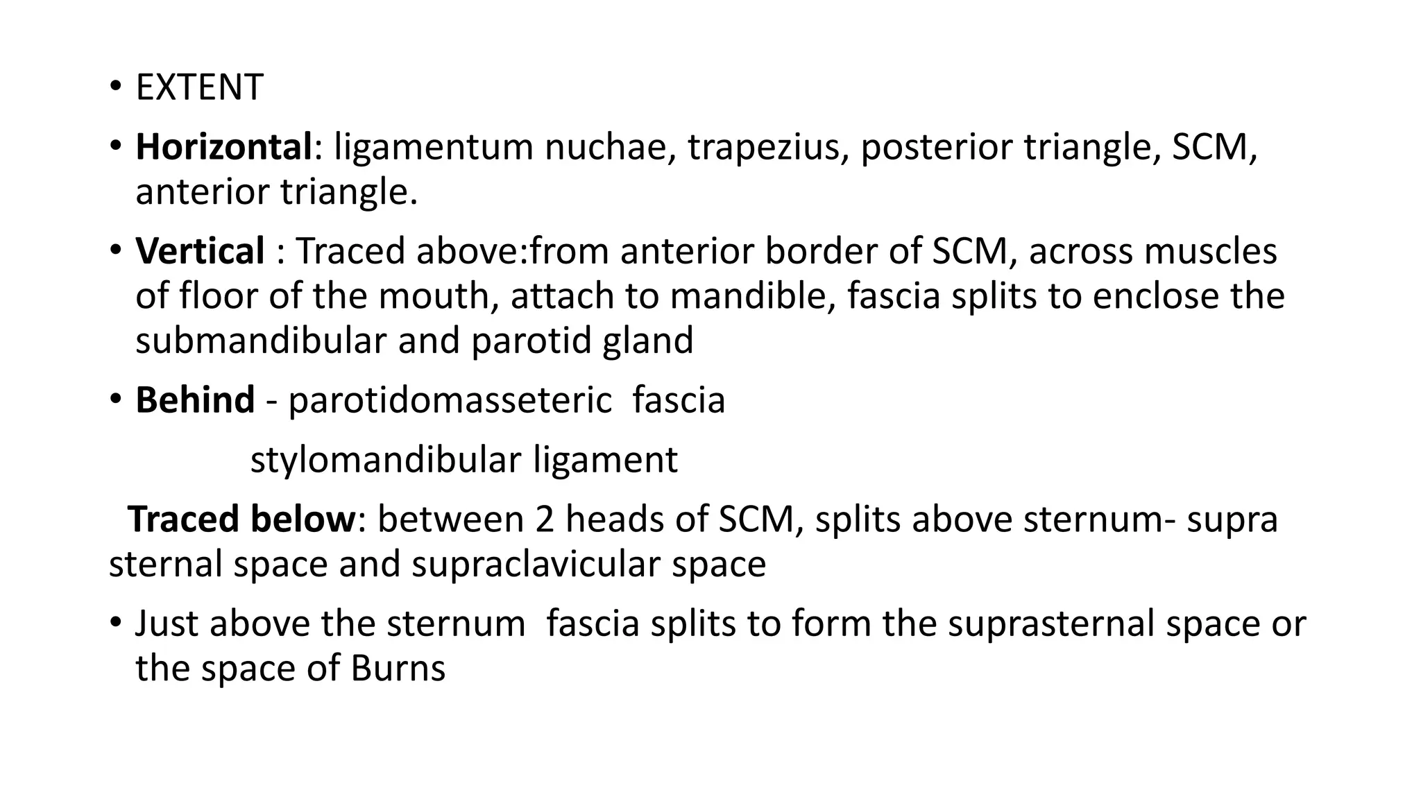 Fascial Spaces in the Head & Neck | PPTX