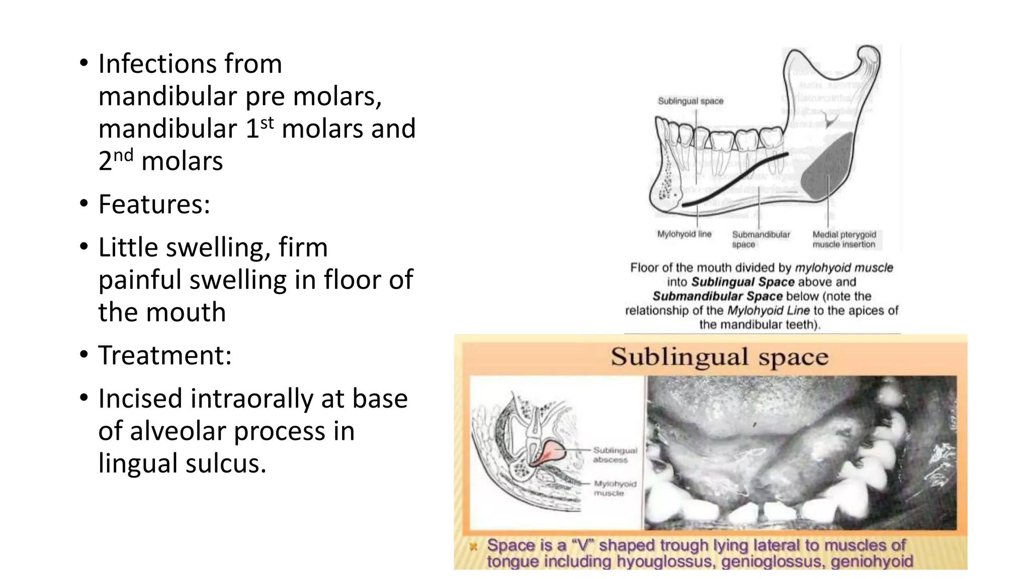 Fascial Spaces in the Head & Neck | PPTX