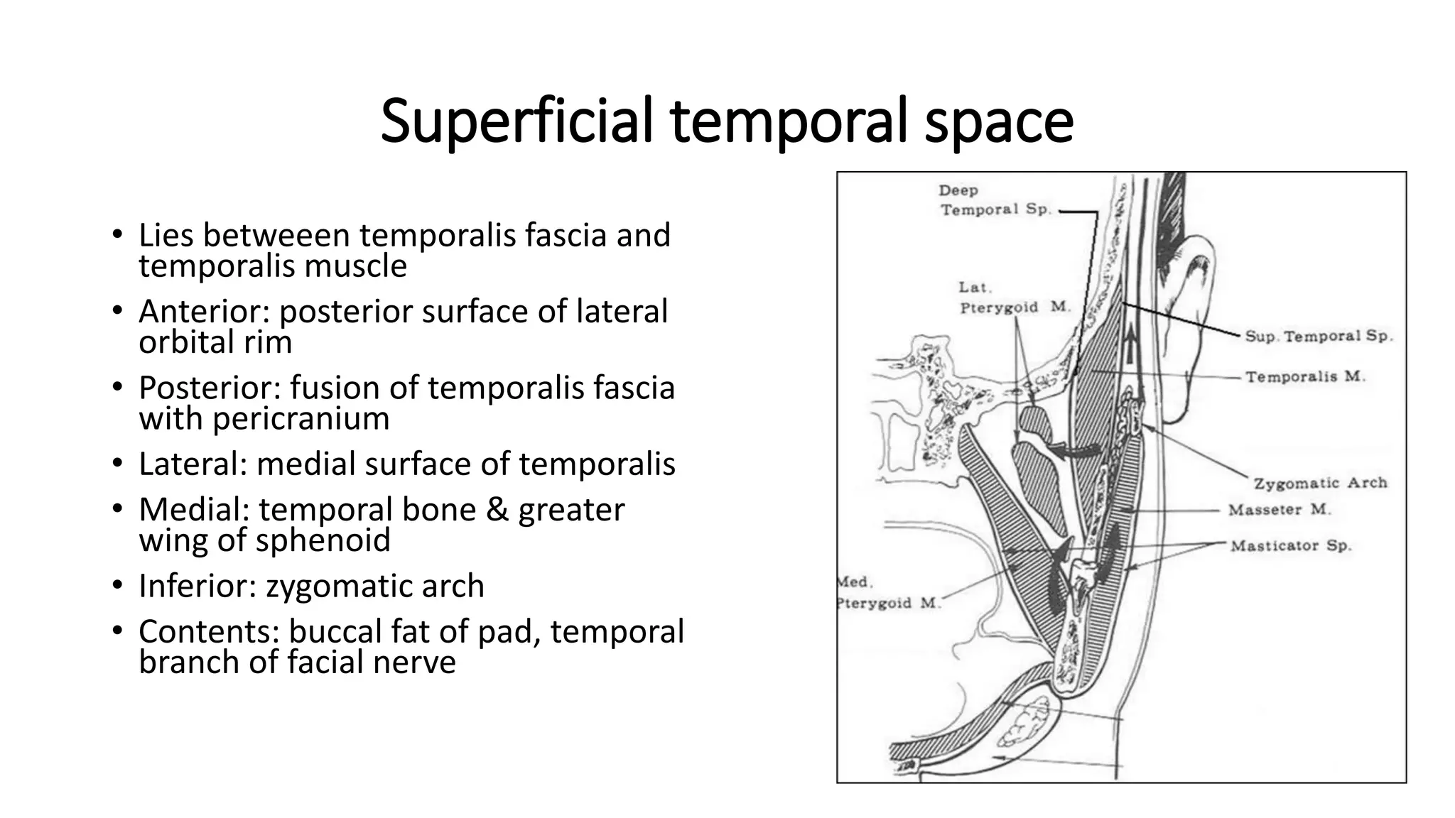Fascial Spaces in the Head & Neck | PPTX