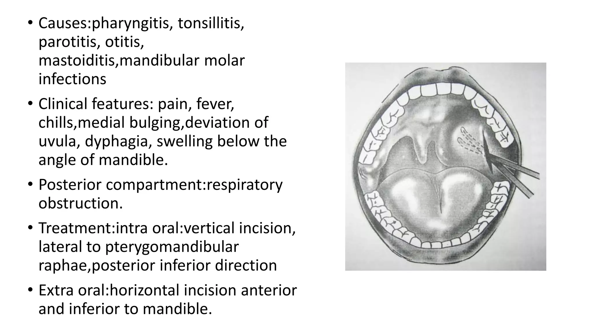Fascial Spaces in the Head & Neck | PPTX