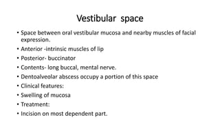 Fascial Spaces in the Head & Neck | PPTX