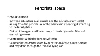 Fascial Spaces in the Head & Neck | PPTX