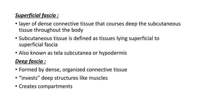 Fascial Spaces in the Head & Neck | PPTX