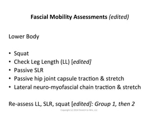 What Is Fascial Stretch Therapy? | PDF