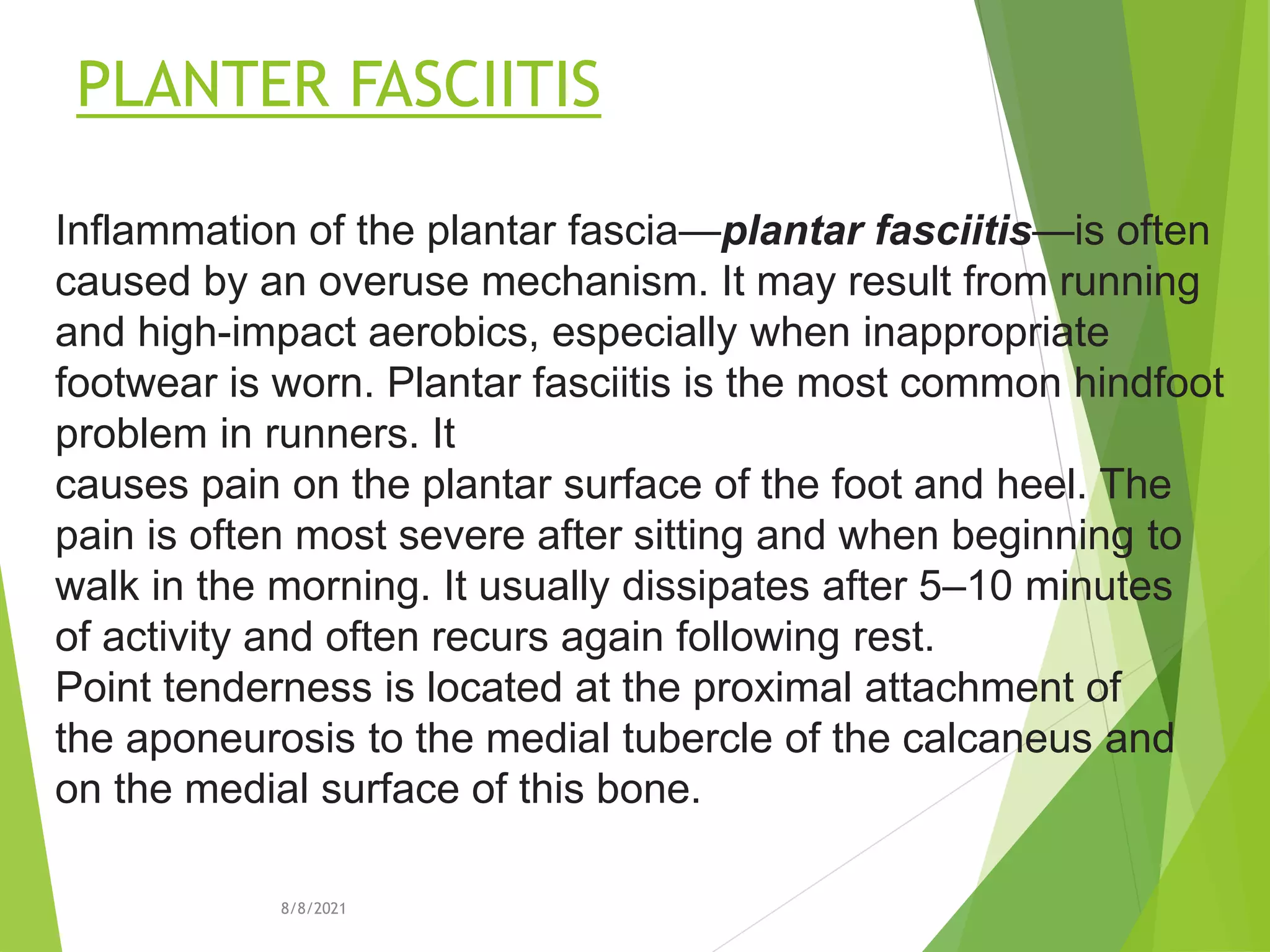 Fascia of foot | PPT