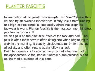 Fascia of foot | PPT