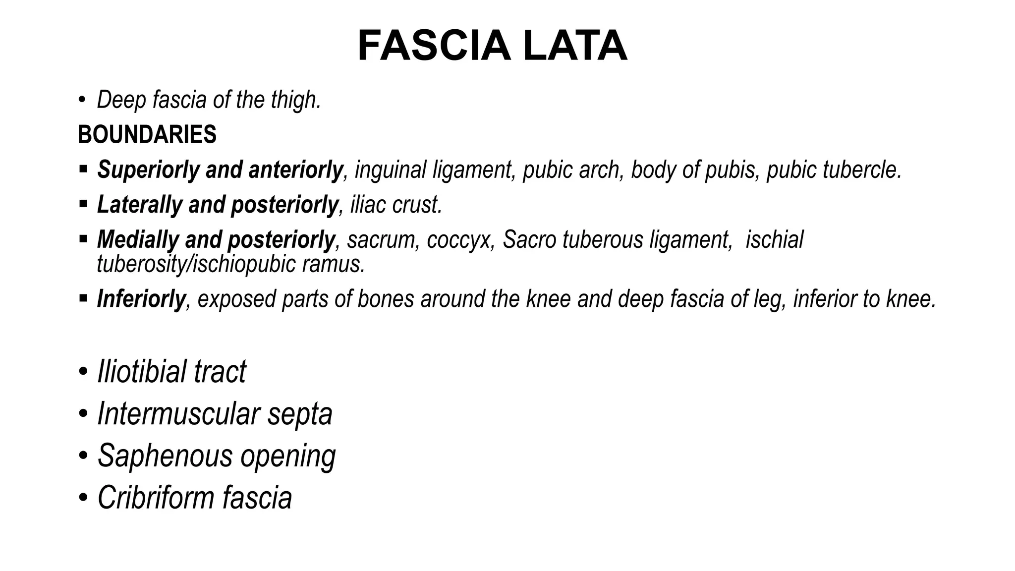 fascia of lower limb, venous drainage of lower limb, lymphatic drainage ...